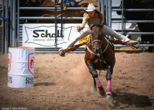 Cowboy Up! It's Rodeo Time in New Mexico